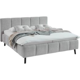 meise.m&ouml;bel Polsterbett &raquo;Polsterbett Alva&laquo; grau Liegefl&auml;che L&auml;nge B: 200cm x 180cm, Stoffbezug Farbe: silver,Liegegr&ouml;&szlig;e: 180x200cm,ohne Lattenroste, 