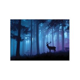 WALLARENA Fototapete Wald in Blau | Gr.: 150 x 105 cm