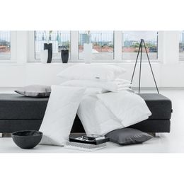 Centa Star Kunstfaserbettdecke &raquo;Famous&laquo; leicht 1 Stk. tlg. Bezug mit spezieller, temperaturregulierender Mikrofaser Bezug: 100% Baumwolle. F&uuml;llung: 100% 