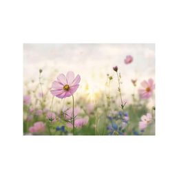 WALLARENA Fototapete Blumen in Rosa | Gr.: 250 x 175 cm