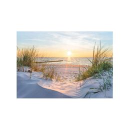 WALLARENA Fototapete Strand in Beige | Gr.: 300 x 210 cm