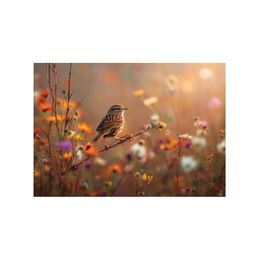 WALLARENA Fototapete Wiese in Braun | Gr.: 400 x 280 cm