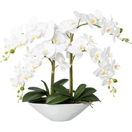 Creativ green Kunstorchidee &raquo;Deko-Orchidee Phalaenopsis in Keramikschale&laquo; wei&szlig; Obermaterial: 95% Polyethylen, 5% Polyester B/H/L: 35cm x 53cm, 1 Stk.