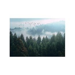 WALLARENA Fototapete Wald in Gr&uuml;n | Gr.: 150 x 105 cm