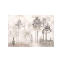 WALLARENA Fototapete Wald in Beige | Gr.: 400 x 280 cm