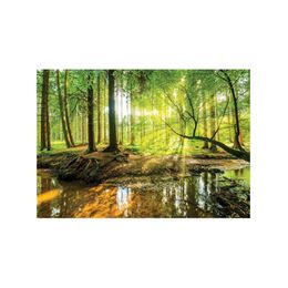 WALLARENA Fototapete Wald in Gr&uuml;n Vlies Tapete | Gr.: 150 x 105 cm