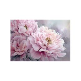 WALLARENA Fototapete Blumen in Rosa | Gr.: 250 x 175 cm