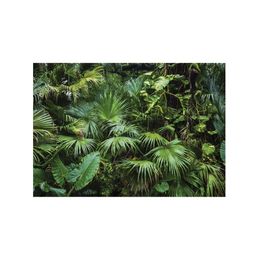 WALLARENA Fototapete Dschungel in Gr&uuml;n | Gr.: 150 x 105 cm