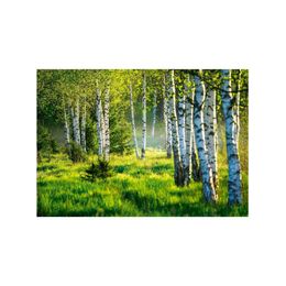 WALLARENA Fototapete Wald in Zielony | Gr.: 250 x 175 cm