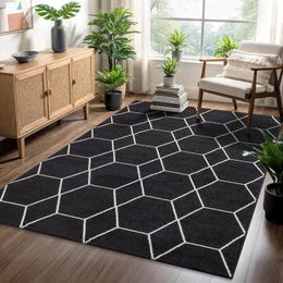 Sanat Teppich &raquo;Trellis, auch als L&auml;ufer und Rund&laquo; rechteckig 10 mm H&ouml;he Kurzflor, skandi, boho, gro&szlig;e Farbauswahl, alle R&auml;ume Kunstfaser B : 240cm 1 Stk., 