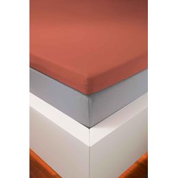 Spannbettlaken bellana, braun, Jersey, Obermaterial: 95% Baumwolle, 5% Elasthan (LYCRA), Bettlaken, "bellana deluxe f&uuml;r Topper, mit Elasthan, Premium