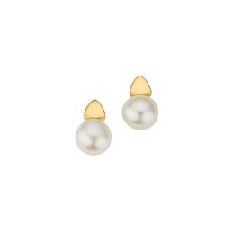 Firetti Damen Paar Ohrstecker "Schmuck Geschenk Gold 333 Ohrschmuck Ohrringe Perlen", 7mm, Gelbgold 333 Perlen, gold, Gelbgold 333, Perlen, Ohrringe,