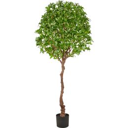 Kunstbaum Creativ green, H:190cm, gr&uuml;n, Obermaterial: 100% Kunststoff, Wohnzimmer, Kunstpflanzen, "Pieris", als Hochstamm