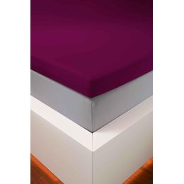 Spannbettlaken bellana, lila, Jersey, Obermaterial: 95% Baumwolle, 5% Elasthan (LYCRA), Bettlaken, "bellana deluxe f&uuml;r Topper, mit Elasthan, Premium