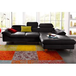 Ecksofa COTTA, B:268cm H:73cm T:169cm, schwarz, LEDER BEEFY (ein abgedecktes Spalt-Rindsleder) im Sitz und R&uuml;cken (Korpus in