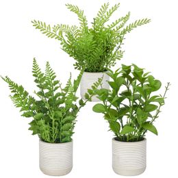 Kunstpflanze Creativ green, H:26cm, gr&uuml;n, Obermaterial: 100% Kunststoff, Kunstpflanzen, "Gr&uuml;npflanzen-Mix", mit 3 verschiedenen Pflanzen