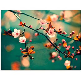 Artland Glasbild &raquo;Japanische Kirsch Sakura Blumen&laquo; Blumen 1 Stk. tlg. in verschiedenen Gr&ouml;&szlig;en blau B/H/T: 60cm x 45cm, Glasbild Blumen, 1 Stk.