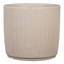 Pflanzk&uuml;bel Scheurich, H:35,3cm T:38,6cm &Oslash;:38,6cm, beige, Kunststoff, Terasse, Pflanzgef&auml;&szlig;e, "40/259 Linetto", dickwandiger Topf aus hochwertigem