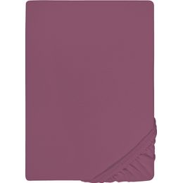 Spannbettlaken, L:200cm, lila, CASTELL - MARKENBETTW&Auml;SCHE, Jersey, Obermaterial: 100% Baumwolle, Bettlaken, "Jersey in Gr. 90x200, 140x200 oder