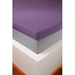 Spannbettlaken bellana, lila, Jersey, Obermaterial: 95% Baumwolle, 5% Elasthan (LYCRA), Bettlaken, "bellana deluxe f&uuml;r Topper, mit Elasthan, Premium