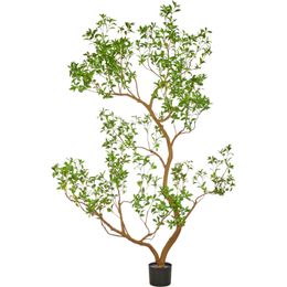 Kunstbaum Creativ green, H:300cm, gr&uuml;n, Obermaterial: 100% Kunststoff, Wohnzimmer, Kunstpflanzen, "Pieris japonica", in beeindruckender Gr&ouml;&szlig;e
