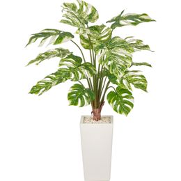 Kunstpflanze Creativ green, H:120cm, gr&uuml;n, Obermaterial: 100% Kunststoff, Kunstpflanzen, "Monstera variegata", mit wundersch&ouml;ner Blattgestaltung
