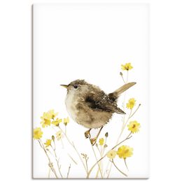 Wandbild Artland, B:60cm H:90cm, braun, Leinwand, Wohnzimmer, Bilder, "Aquarell Zaunk&ouml;nig", als Alubild, Leinwandbild, Poster, Wandaufkleber in