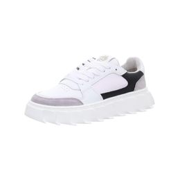 Apple of Eden Sneaker in grau | Gr.: 40