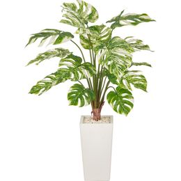 Creativ green Kunstpflanze &raquo;Monstera variegata&laquo; mit wundersch&ouml;ner Blattgestaltung gr&uuml;n Obermaterial: 100% Kunststoff B/H/L: 120cm, 1 Stk.