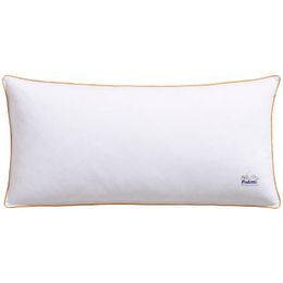 Balette Federkopfkissen &raquo;Edition 140 Jahre, allergikerfreundlich, Made in Germany&laquo; F&uuml;llung: 85% Federn und 15% Daunen 1 Stk. tlg. Kopfkissen 40x80 cm, 80x80 