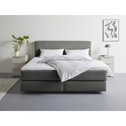 Boxspringbett, B:165cm L:217cm, grau, LeGer Home by Lena Gercke, Komplettbetten, "Zalia erh&auml;ltlich in verschiedenen Breiten, inkl. Toppper",