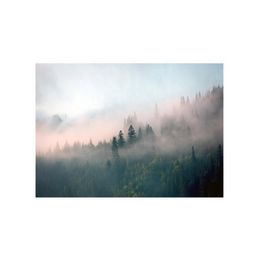 WALLARENA Fototapete Wald in Grau | Gr.: 150 x 105 cm