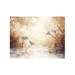WALLARENA Fototapete Wald in Braun | Gr.: 250 x 175 cm