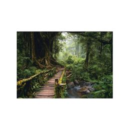 WALLARENA Fototapete Wald in Gr&uuml;n | Gr.: 400 x 280 cm