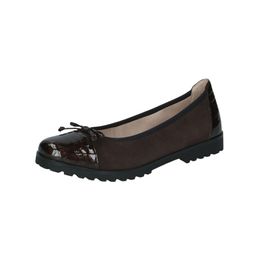 Caprice Ballerina in BRN CROCO COMB | Gr.: 40