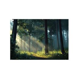 WALLARENA Fototapete Wald in Gr&uuml;n | Gr.: 150 x 105 cm