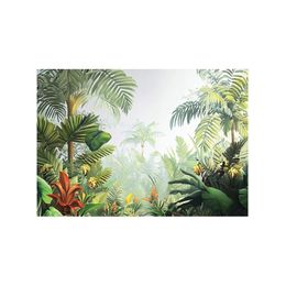 WALLARENA Fototapete Dschungel in Gr&uuml;n | Gr.: 350 x 250 cm