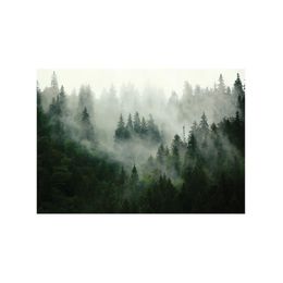 WALLARENA Fototapete Wald Nebel in Gr&uuml;n Vlies Tapete | Gr.: 300 x 210 cm