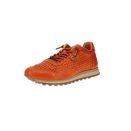 CETTI Sneaker low C-848 SRA in Orange | Gr.: 38