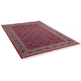 Theko Orientteppich &raquo;Benares Herati, handgekn&uuml;pft&laquo; rechteckig 12 mm H&ouml;he reine Wolle, mit Fransen, Wohnzimmer rot Schurwolle B : 200cm 1 Stk., 12mm, L