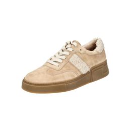 Paul Green Sneaker in Beige/Braun | Gr.: 37