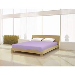 Mr. Sandman Spannbetttuch Full Elastan de luxe 140-160 x 200-220 cm