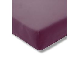 Estella Spannbetttuch Zwirn-Jersey Topper