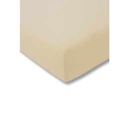 Estella Spannbetttuch Zwirn-Jersey Topper
