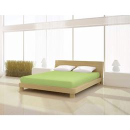 Mr. Sandman Topper Spannbetttuch Full Elastan de luxe 160 x 200 cm