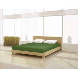 Mr. Sandman Spannbetttuch Full Elastan de luxe 140-160 x 200-220 cm