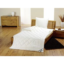 f.a.n. Frankenstolz Bettdecke Baumwolle kbA Vierjahreszeiten-Steppbett 135x200