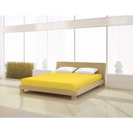 Mr. Sandman Spannbetttuch Full Elastan de luxe 140-160 x 200-220 cm