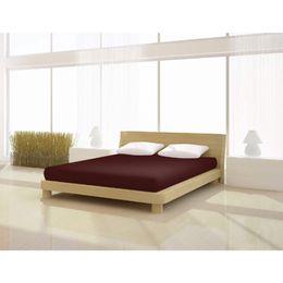Mr. Sandman Topper Spannbetttuch Full Elastan de luxe 160 x 200 cm