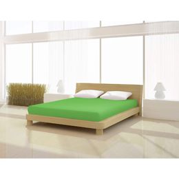 Mr. Sandman Topper Spannbetttuch Full Elastan de luxe 160 x 200 cm